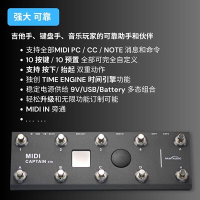 PAINTAUDIOMIDI控制器踏板