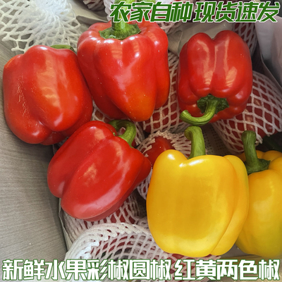 新鲜水果彩椒圆椒红椒黄椒柿子椒太空椒五彩椒水果甜椒精选装
