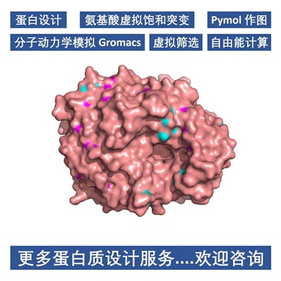 蛋白质3D结构预测AlphaFold2&Rosetta&同源建模Model突变结构优化