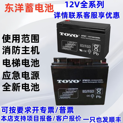 TOYO6-FM/GFM12V17A24AH38A40A65A100A200AUPS直流屏消防应急电源