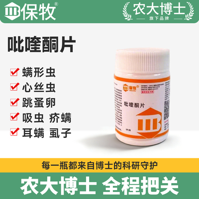 临期吡喹酮片驱虫药猫狗体内驱血吸虫绦虫囊尾蚴病通用驱虫打虫药