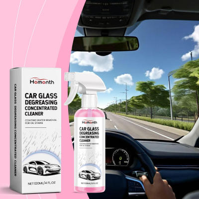 HOMONTHcarglasscleaneris