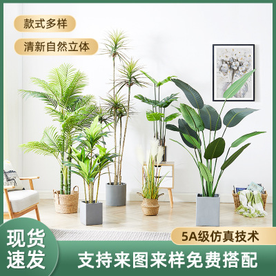 Large scale Nordic simulation plants, living room, simulate
