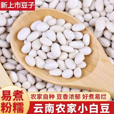 正宗云南大白芸豆软糯易煮即食