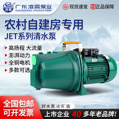 广东凌霄JET150家用自建房自吸泵