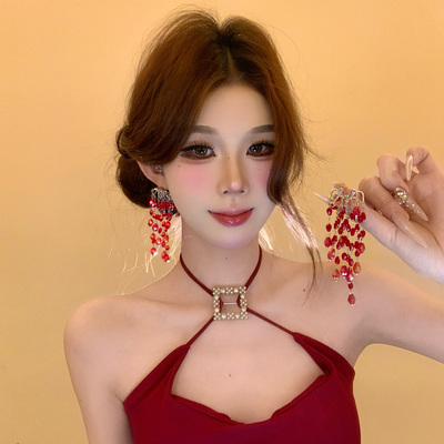 美貌聚焦~法式奢华红色水晶流苏耳环女时尚气质耳坠独特夸张耳饰
