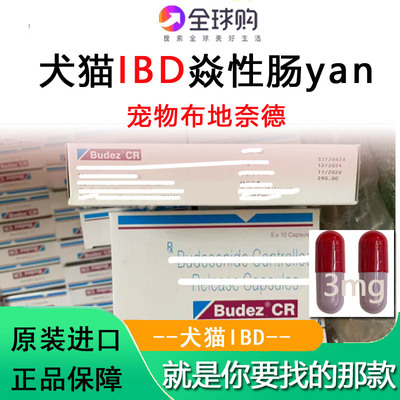 进口布地奈德Budesonide犬猫IBD