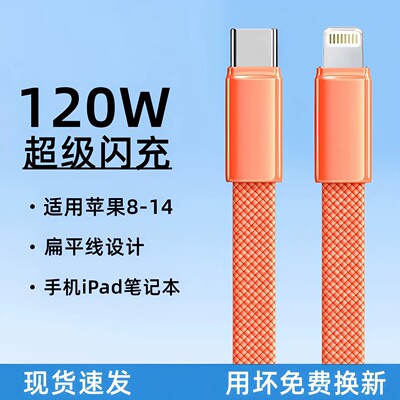标题推荐：双Type-C120W数据线