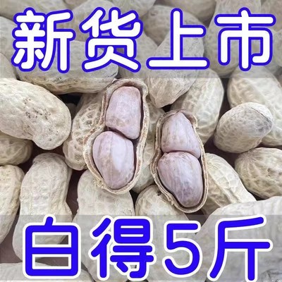 新龙岩水煮花生白晒干盐水煮咸干湿烤500gx2袋装散带壳熟零食特产