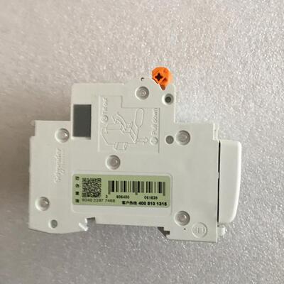 1 EA9RN2C1030CA 10A 2P 断路器