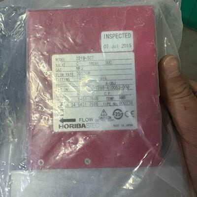 HORIBA CRITERION数字质量流量模块 型号D21