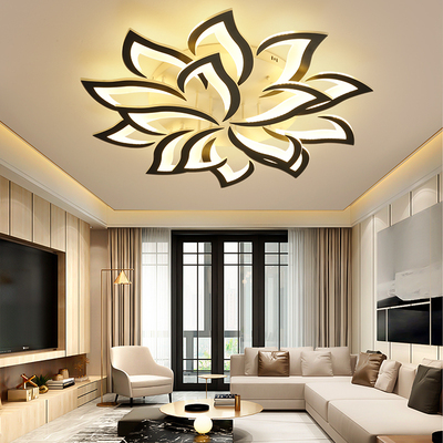 Modern led Ceiling Lights Lamp For Living Room Bedroom Study