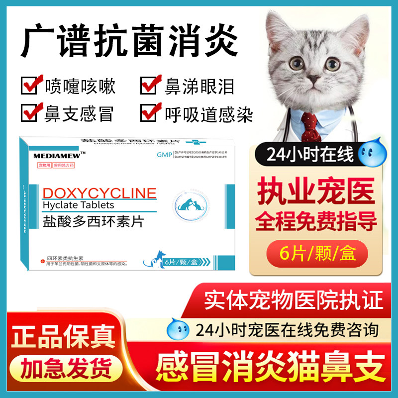 猫鼻支猫咪狗狗感冒药打喷嚏咳嗽流鼻涕呼吸道感染宠物感冒消炎药