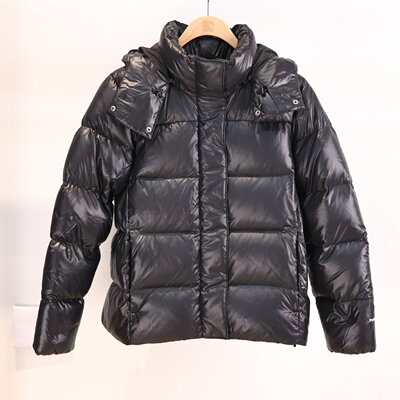 北面女户外防泼水鹅绒羽绒服