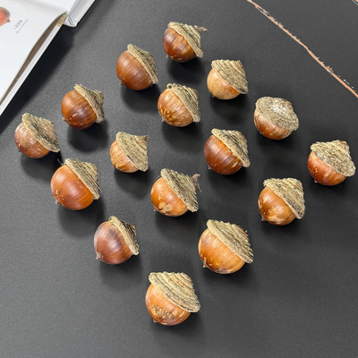 天然盈江青岗橡果家居装饰摆件