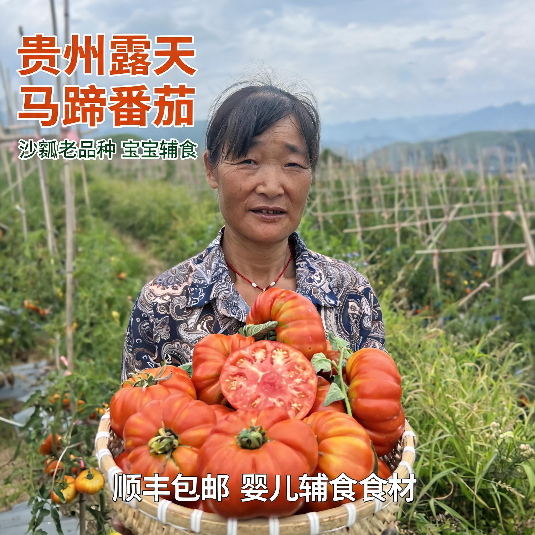 贵州露天马蹄番茄农家自种老品种土西红柿沙瓤自然熟新鲜毛辣果