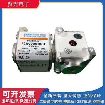 罗兰A070UD32TTI630 S300465 A070UD32TTI700 T300466全新熔断器