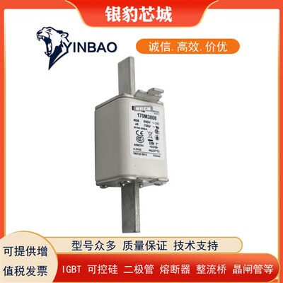170M4980 170M4981 170M4982 170M4983 170M4984全新熔断器保险丝