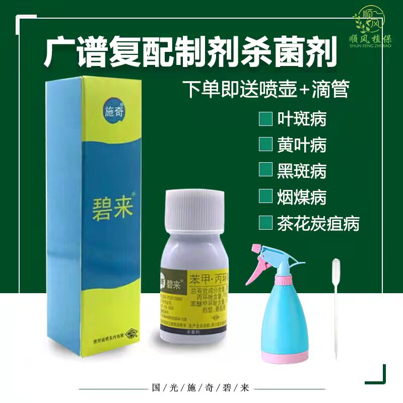 国光施奇碧来杀菌剂花卉果蔬叶斑病月季黑斑病白粉炭疽病花药送壶
