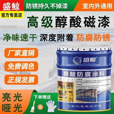 红丹防锈漆快干醇酸磁漆白哑亮漆