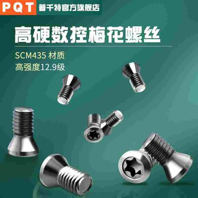 PQT高硬12.9级数控刀杆刀片刀盘螺丝M2.5M3M4M5车刀CNC梅花内六角