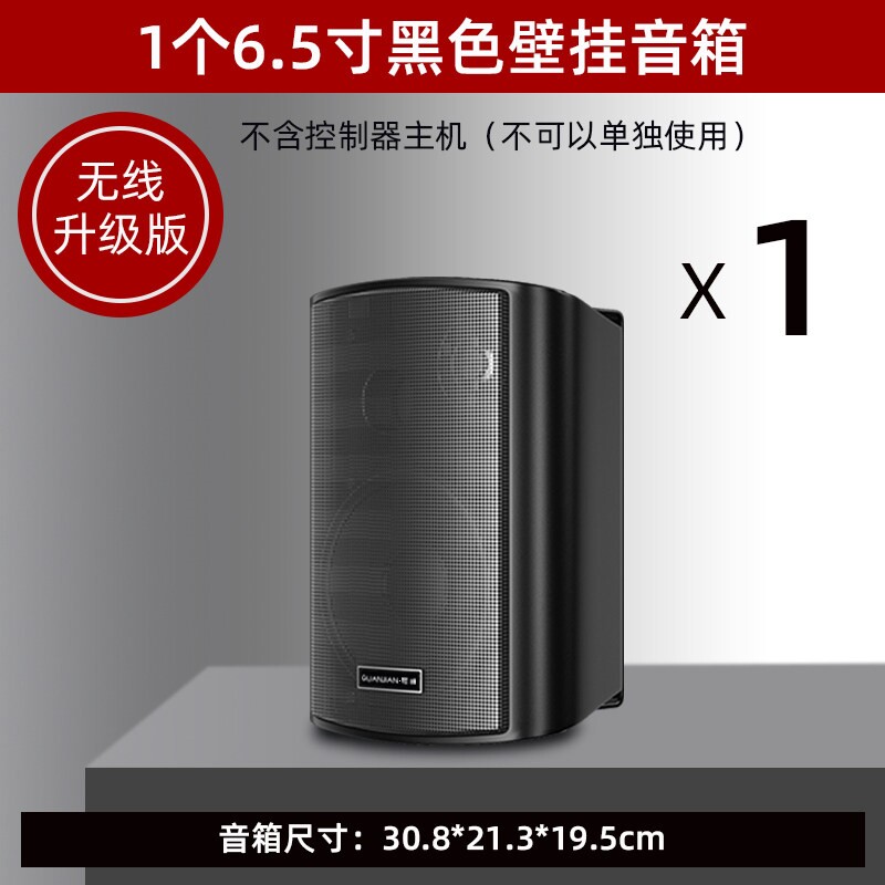 冠健 LS-02壁挂无线音响店铺专用舞蹈教室餐合套装厅健身房会议室