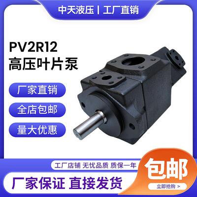 新款叶片液压油泵PV2R12-25/28/31-33/41/59-F-REAA-41双联定包邮