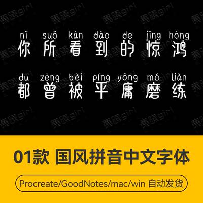 Procreate/Win/GoodNotes/Mac   国风拼音中文字体安装包自动发货