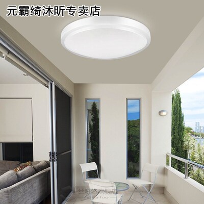 Simple modern home LED ceiling lights living room balcony la