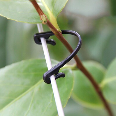 50/100pcs Vegetable Binder Twine Plant Support Type Tomato C