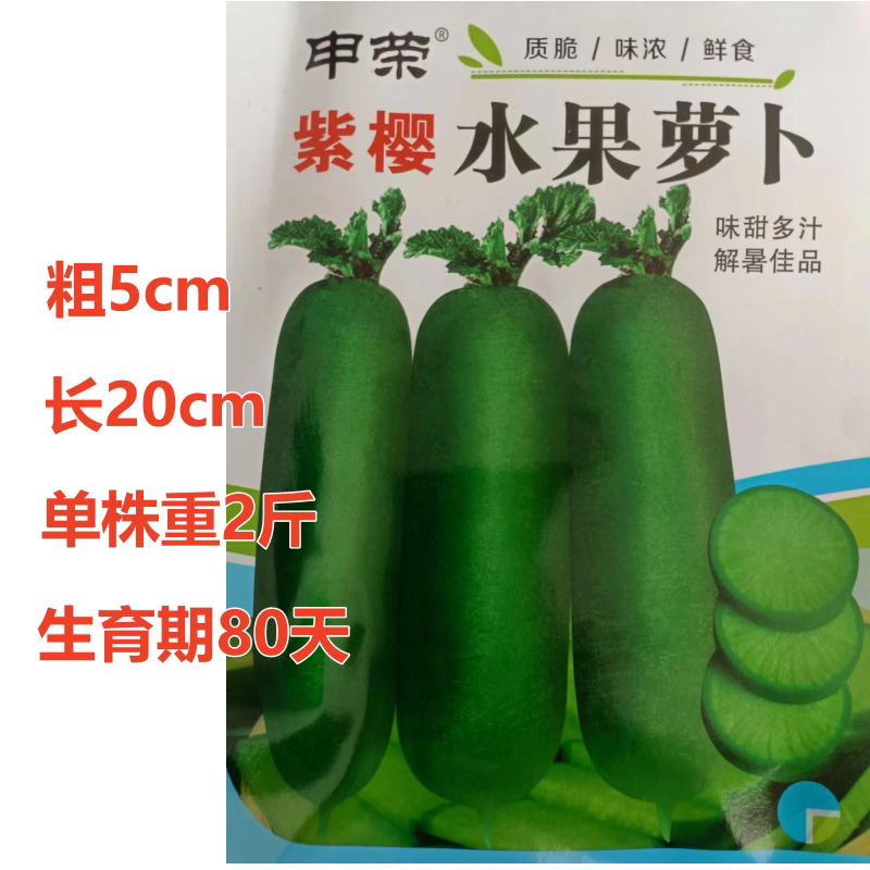 申荣紫樱水果萝卜种子可四季种植的蔬菜种子肉质脆味甜多汁