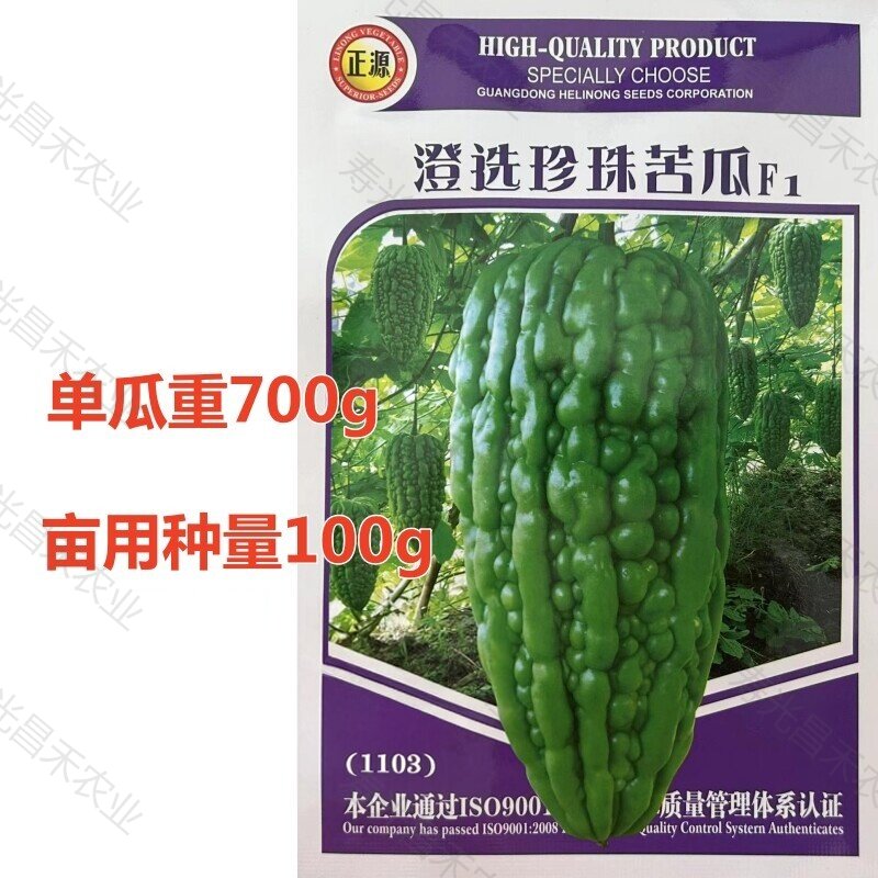 澄选珍珠苦瓜F1种子种籽特大珍珠疙瘩绿四季春季盆栽蔬菜子