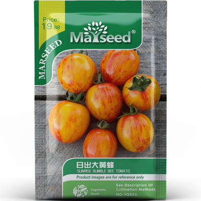 稀有条纹日出大黄蜂番茄清新爽口风味特别春秋播蔬菜种子种苗A020