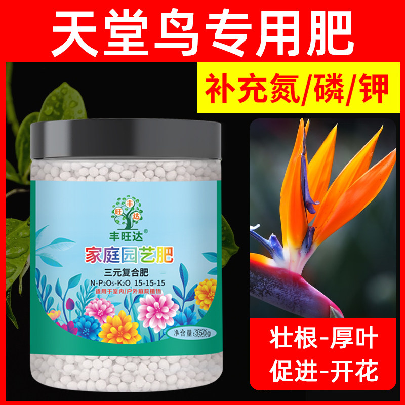 天堂鸟专用肥料治黄叶卷边鹤望兰琴叶榕龟背竹绿植盆栽植物复合肥