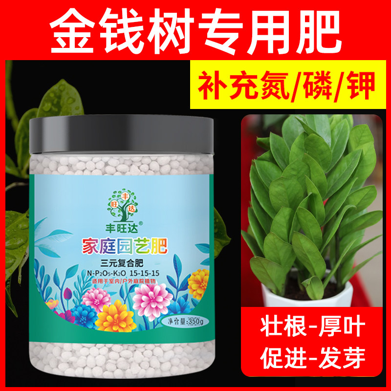 金钱树肥料专用肥缓释肥室内专用花肥家用土水培绿植物盆栽复合肥