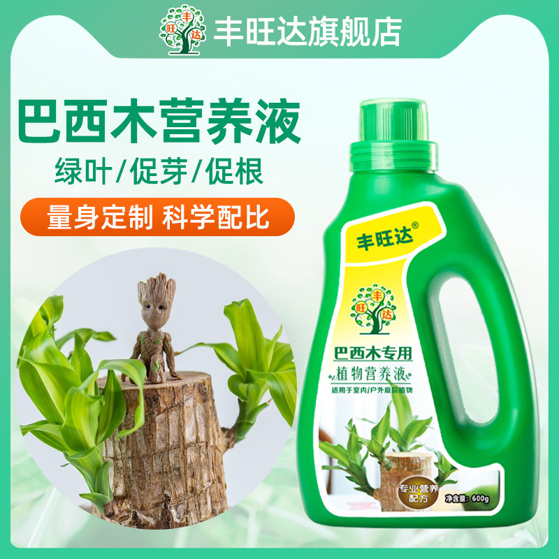 巴西木专用营养液植物水培巴旦木幸运木家用盆栽专用型肥料丰旺达