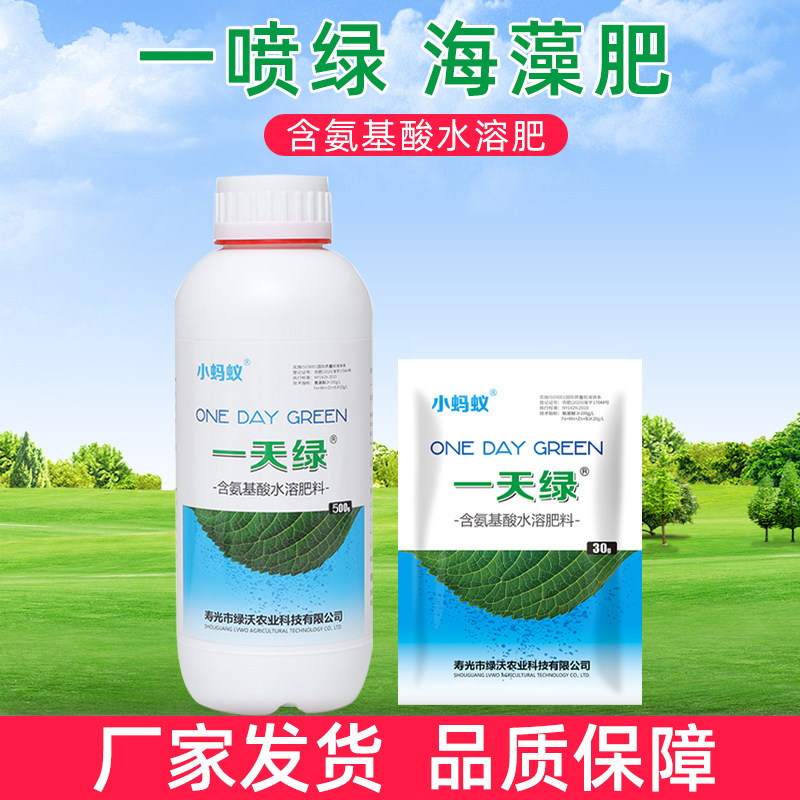 一喷绿氨基酸叶面肥果树蔬菜花卉黄叶植物通用中微量元素水溶肥料