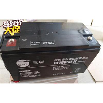 三瑞系统12V6H直流蓄电池UPS消防屏机柜电源CP12650F-X