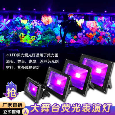 12V24V220V荧光画紫光灯酒吧派对舞台鬼屋涂鸦led黑光紫外线灯
