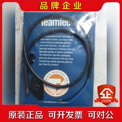 焚烧炉感光探头TEAMTEC ART.no. 7 议价