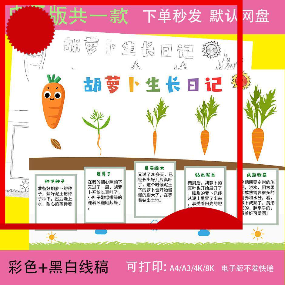 自然笔记手抄报胡萝卜的生长过程小报植物生长日记自然观察手抄报