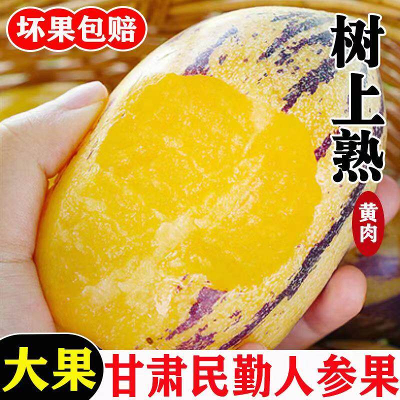 正宗人参果甘肃民勤当季新鲜水果人生果娃娃黄肉大果特大现摘现发
