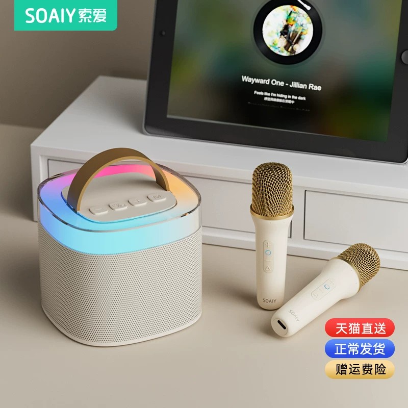 索爱-SK2蓝牙音箱家用k歌音响儿童话筒麦克风户外唱歌小型家庭ktv