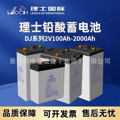 LEOCH理士蓄电池DJ2V100A