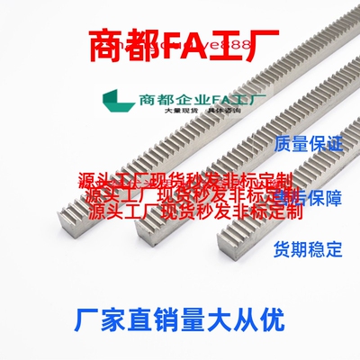 同规格直齿条VNU01/21/齿条RGEA/RGEAL/1.0模10X12