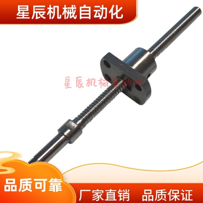 BSS BSSE BSBK BSBR0802 1510 2005 20102505 2510 2520 滚珠丝杆