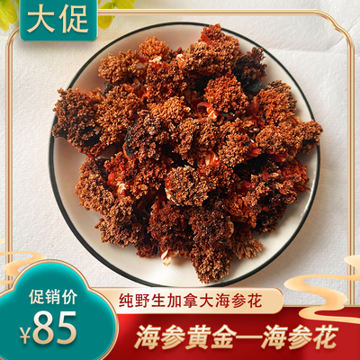 海参花500g包邮冰岛加拿大