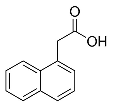 1-萘乙酸,N0640-25G/100G/35745