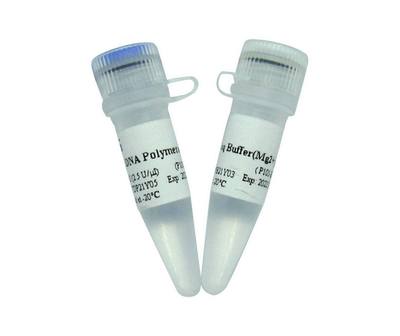 ATG:P101: Taq DNA Polymerase (无dNTP)/ DNA 聚合酶