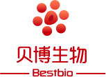 组蛋白提取试剂盒